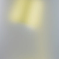 obscure textured glass privacy glass